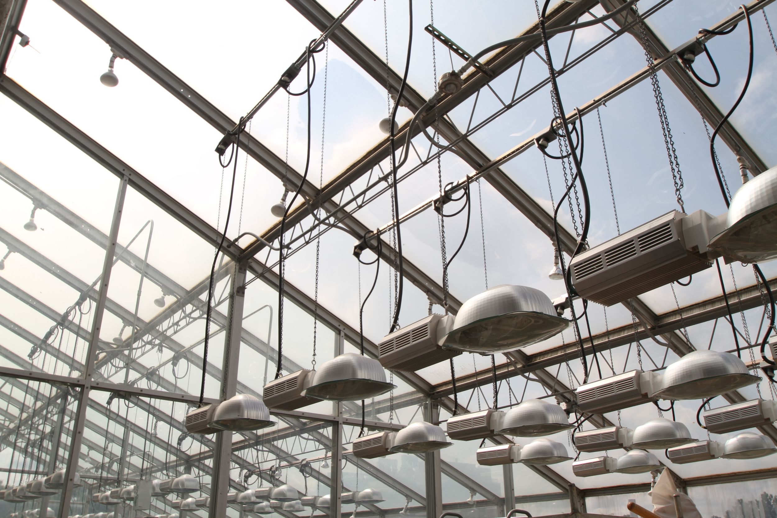 NCSU Phytotron Energy Conservation Project | DPR Construction