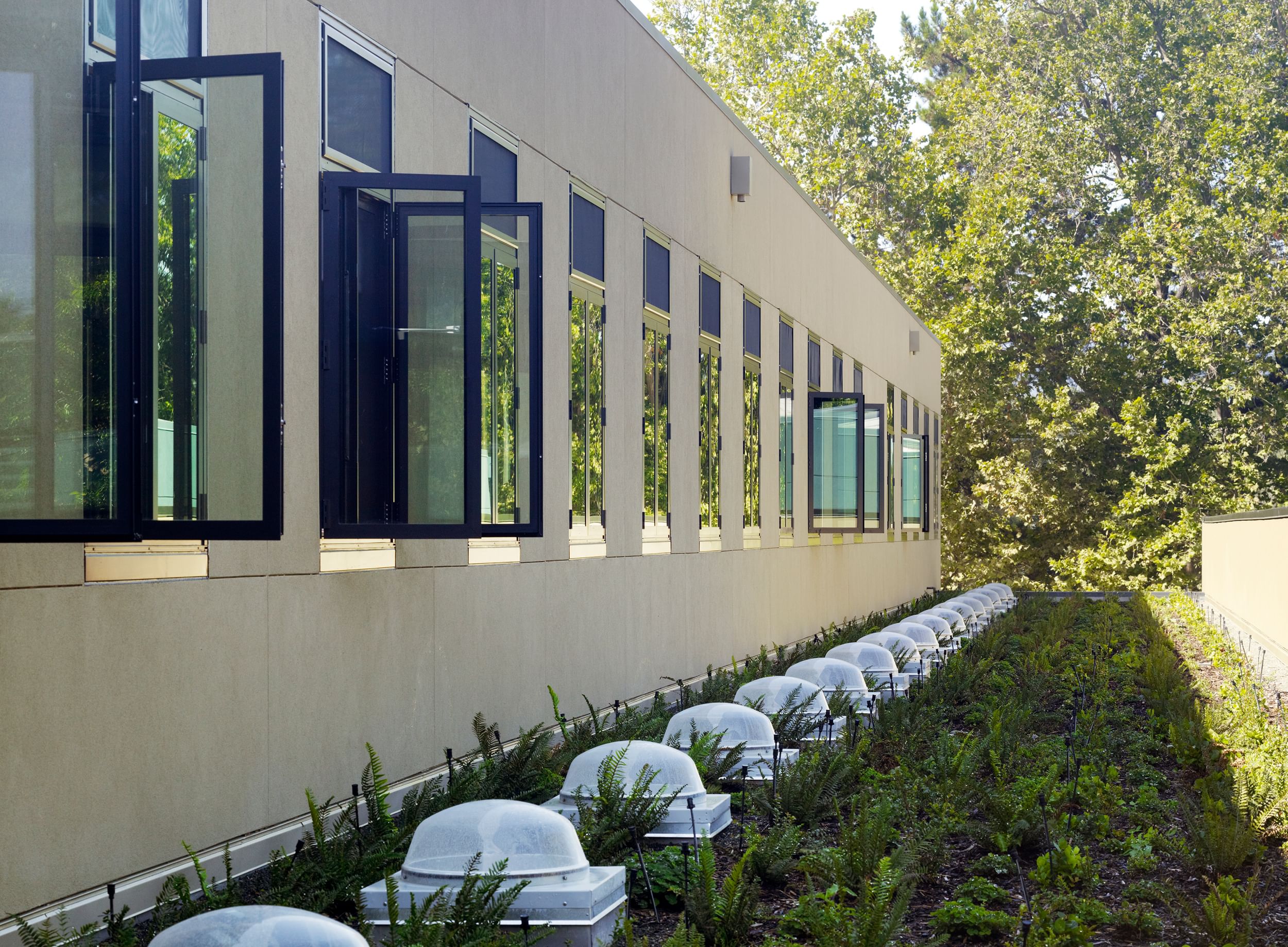 Sacred Heart Schools Michael J. Homer Science and… | DPR Construction